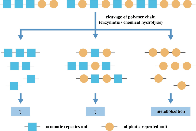 Evaluation and Certification of PBAT Biodegradability | SpringerLink