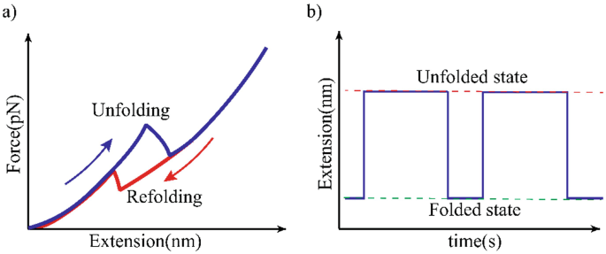 Force Spectroscopy Tools for Probing the Mechanochemistry of Protein ...