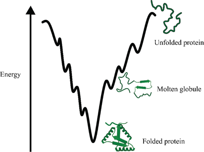 Force Spectroscopy Tools for Probing the Mechanochemistry of Protein ...