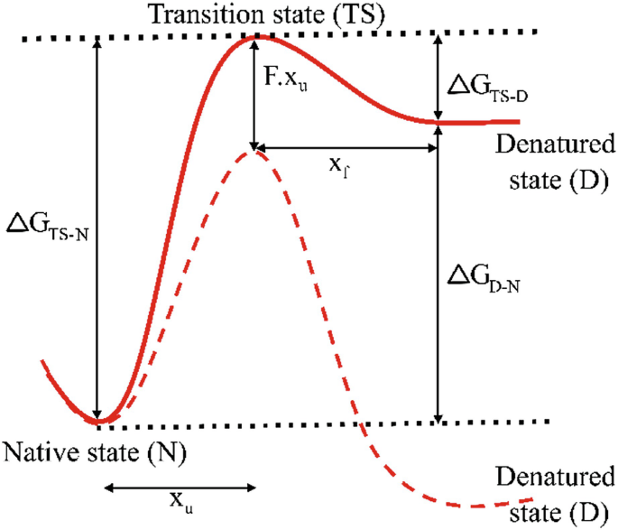 Force Spectroscopy Tools for Probing the Mechanochemistry of Protein ...