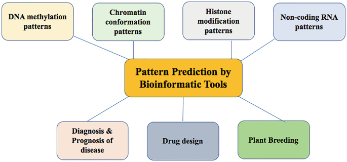 Integration of Bioinformatic Tools in Functional Analysis of Genes and Their Application in ...
