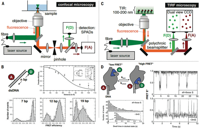Exploring Dynamics at the Molecular Scale: Advances in Single-Molecule ...