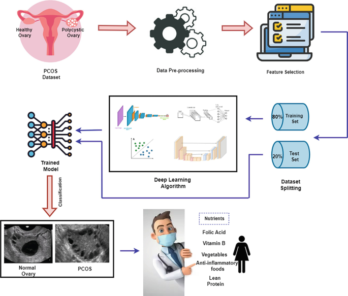 The Role of Nutrients in PCOS: An Exploration of Key Nutrients and ...