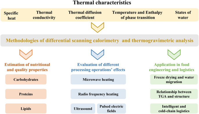 Thermal Characteristics in Foods | SpringerLink