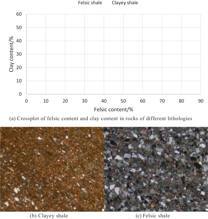 Study on Identification of Shale Oil Lithofacies Based on Quantitative ...
