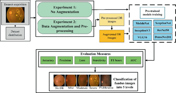 Leveraging Data Augmentation to Improve Deep Transfer Learning Models ...