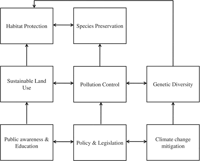 Trade-Offs and Synergies in Biodiversity Conservation and Food Security ...