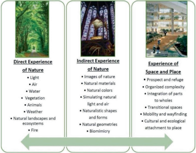Integration of Biophilic Design Principles in Development Control ...