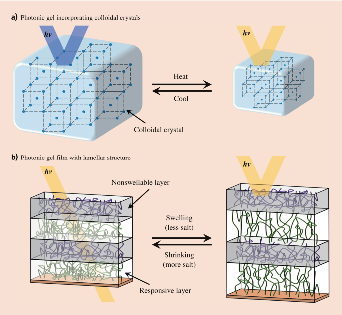 Functional Gels | Springer Nature Link (formerly SpringerLink)