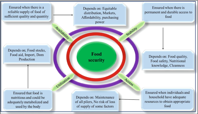 Global Food Security and Bioenergy Production | SpringerLink