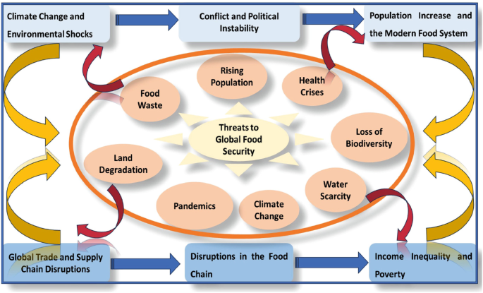 Global Food Security and Bioenergy Production | SpringerLink