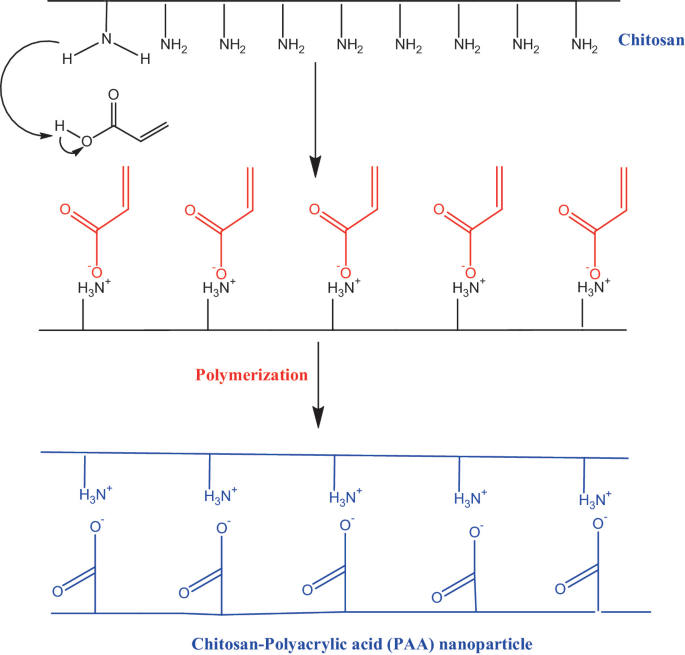 Characterization Techniques for the Chitosan Nanoparticles and Derivatives | SpringerLink