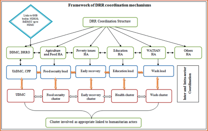 Determination of Constraints in Existing DRR Coordination Mechanisms ...