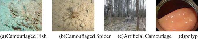 A Lightweight Camouflaged Object Detection Model Based on Improved ...