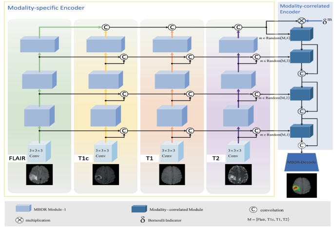 MBDR-V2: A Network for MRI Brain Tumor Image Segmentation with ...