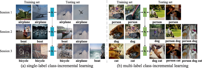 Dynamic Prompt Adjustment for Multi-label Class-Incremental Learning | SpringerLink