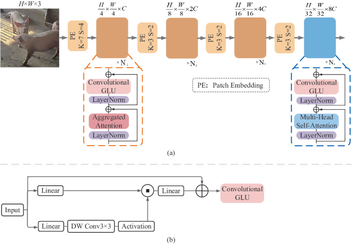 ST_TransNeXt: A Novel Pig Behavior Recognition Model | SpringerLink