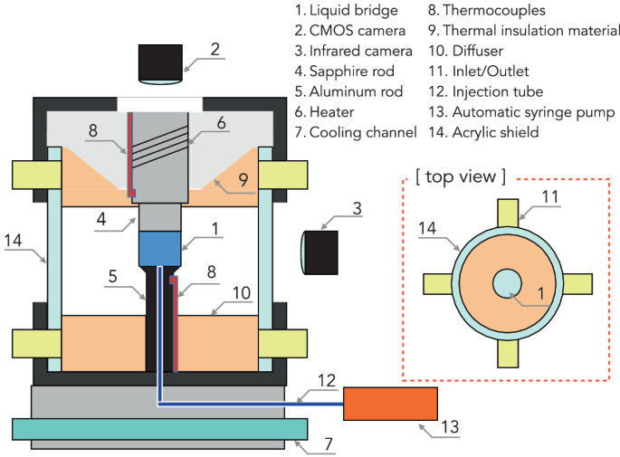 Surface-Tension Related Flows in Microgravity and Microscale: Liquid ...