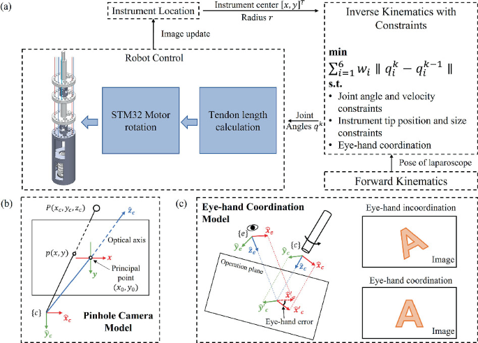 A Visual Simulation Platform for Automatic Field-of-View Adjustment Algorithm Optimization of a ...