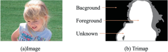 Boosting Practicality of Natural Image Matting with Trimap Adaptation ...