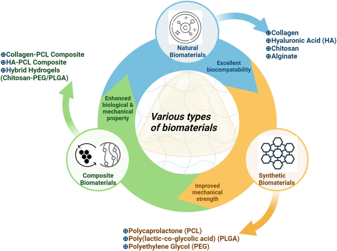 Advancements in Biomaterials for Cartilage Tissue Engineering ...
