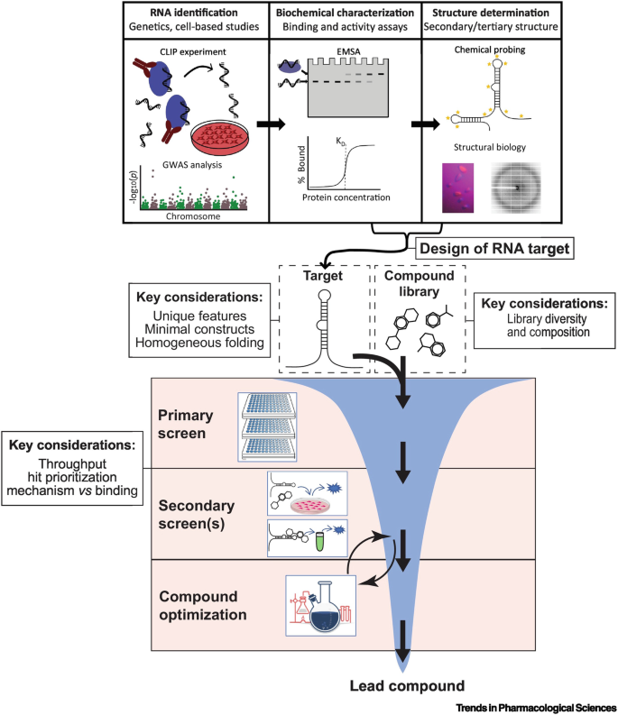RNA Screening Design | SpringerLink