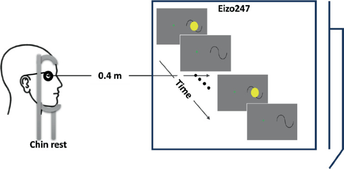 Unveiling the Role of Memory in Shaping Visual Perception: Empirical ...