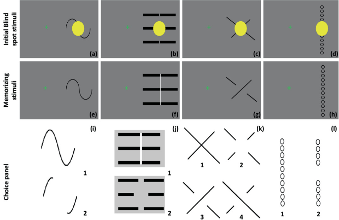 Unveiling the Role of Memory in Shaping Visual Perception: Empirical ...
