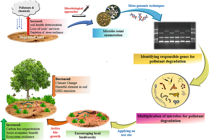 Agricultural Land Restoration: Strategies and Challenges | SpringerLink