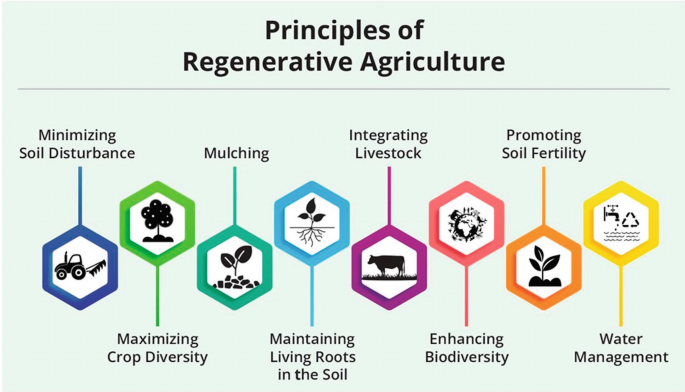 Regenerative Agricultural Practices for Sustainable Soil Health and ...