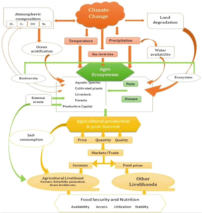 Climate Change Impacts on Pillars of Food Security and Human Health ...