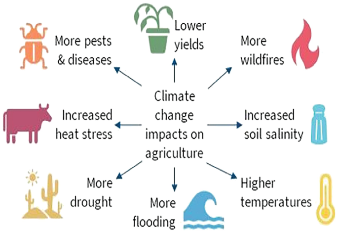 Climate-Resilient Sustainable Agriculture to Evade Food and Nutrition ...