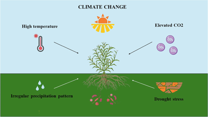 Effect of Climate Change on Beneficial Plant–Microbe Interaction in the ...
