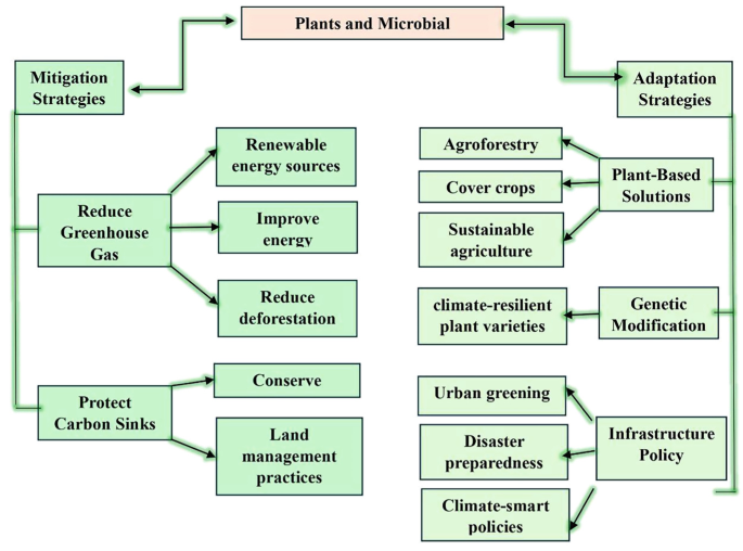 Effect of Climate Change on Beneficial Plant–Microbe Interaction in the ...