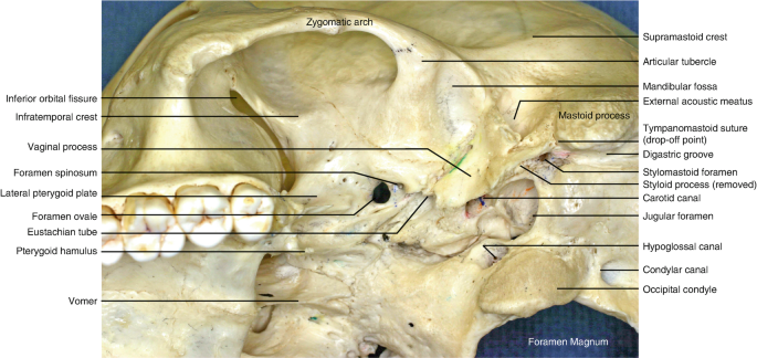 External and Internal Views | Springer Nature Link (formerly SpringerLink)