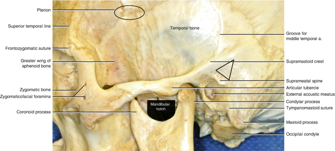 External and Internal Views | Springer Nature Link (formerly SpringerLink)