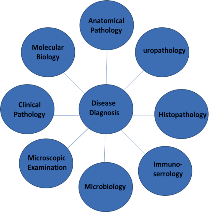 Diagnosis—An Art of Identifying Disease | SpringerLink