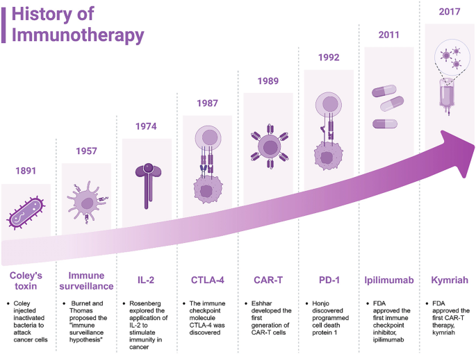 Cancer Immunology and Immunotherapy | Springer Nature Link (formerly ...