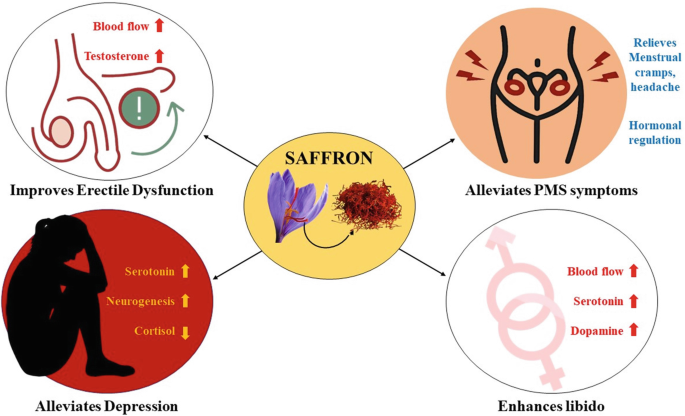 The Sensual Spice: Exploring Saffron as an Aphrodisiac | SpringerLink