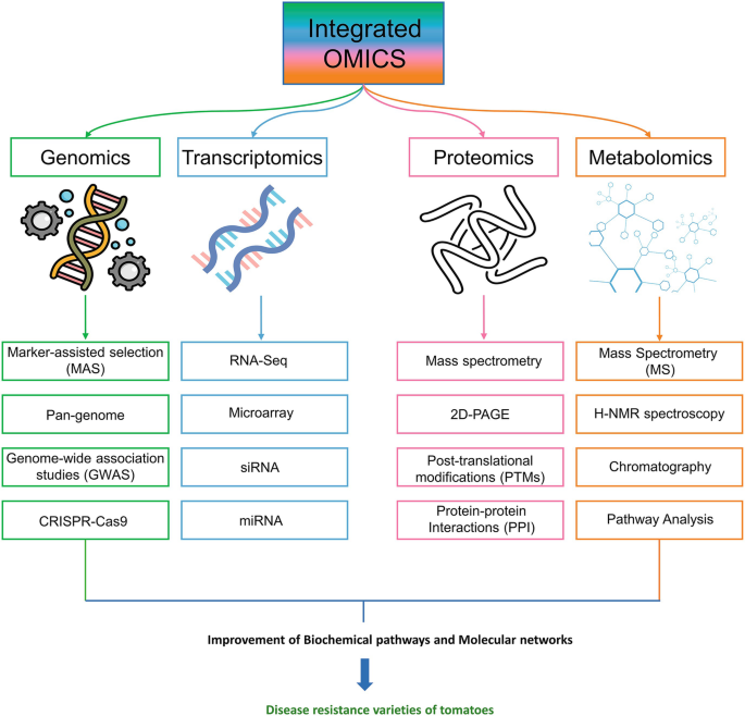 Disease Resistance at the Molecular Level: Omics-Based Approaches for ...