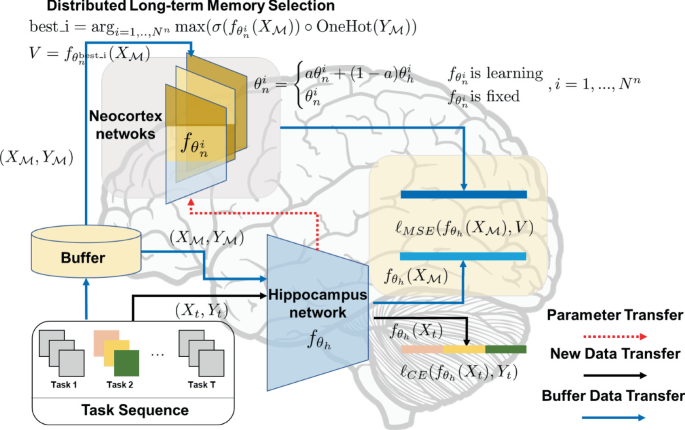 A Brain-Inspired Distributed Long-Term Memory Guided Online Continual Learning Method | SpringerLink