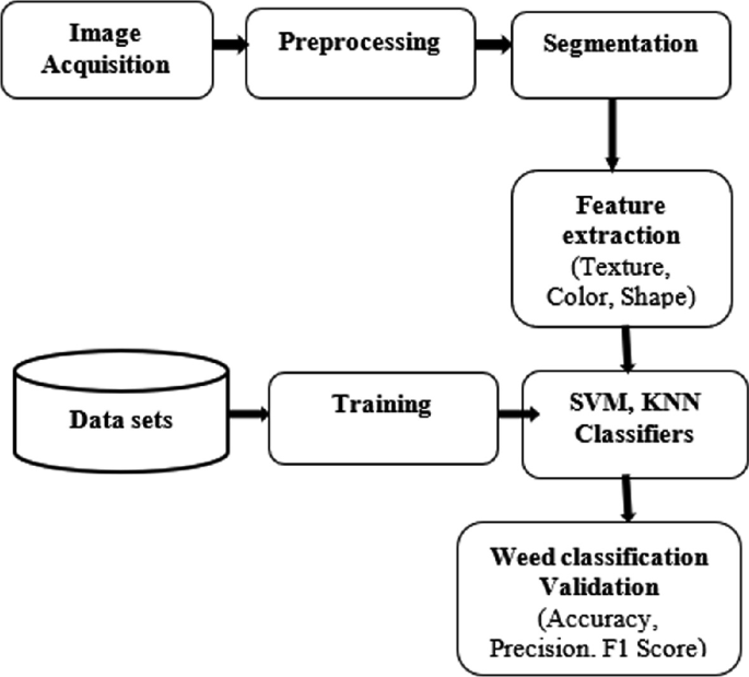 Smart Farming Solutions: Advanced Techniques in Classification of Weeds Using Image Processing ...