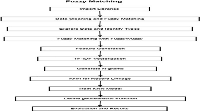 Advanced Techniques in Fuzzy Matching for Record Linkage and Clustering: Comparative Analysis ...