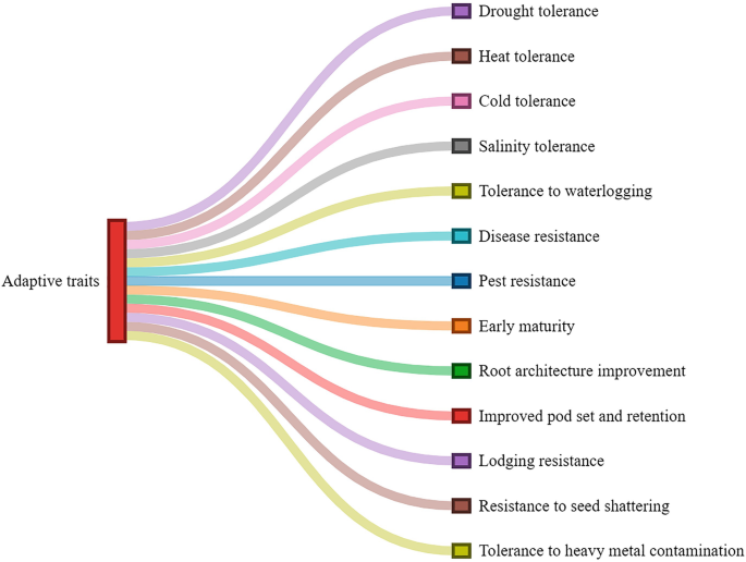 Future Perspectives in Legume Breeding for Sustainable Agriculture ...