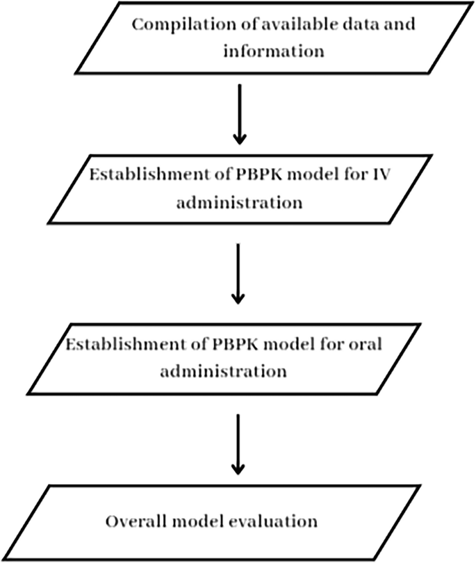 Physiologically Based Pharmacokinetic (PBPK) Modeling and ...