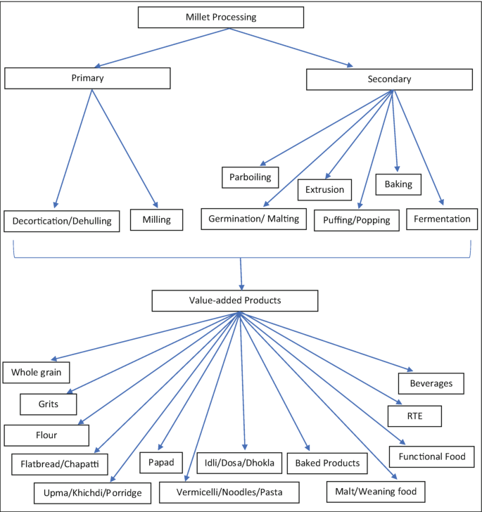 Technology for the Development of Value-Added Products in Minor Millets ...