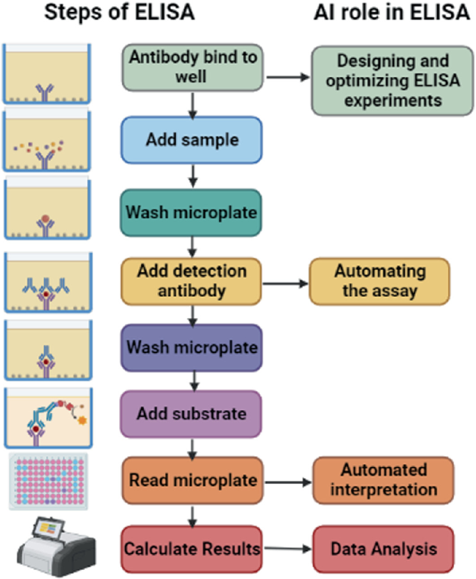 Artificial Intelligence in Monitoring Food Spoilage with ELISA ...