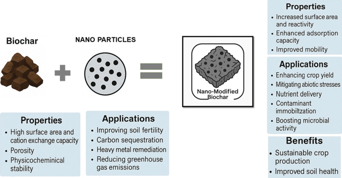 Biochar and Nanotechnology for Sustainable Crop Growth and Soil ...