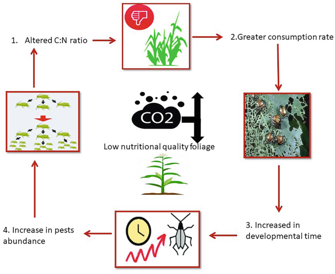 The Potential Effect of Climate Change in Agricultural Insect and Pests ...