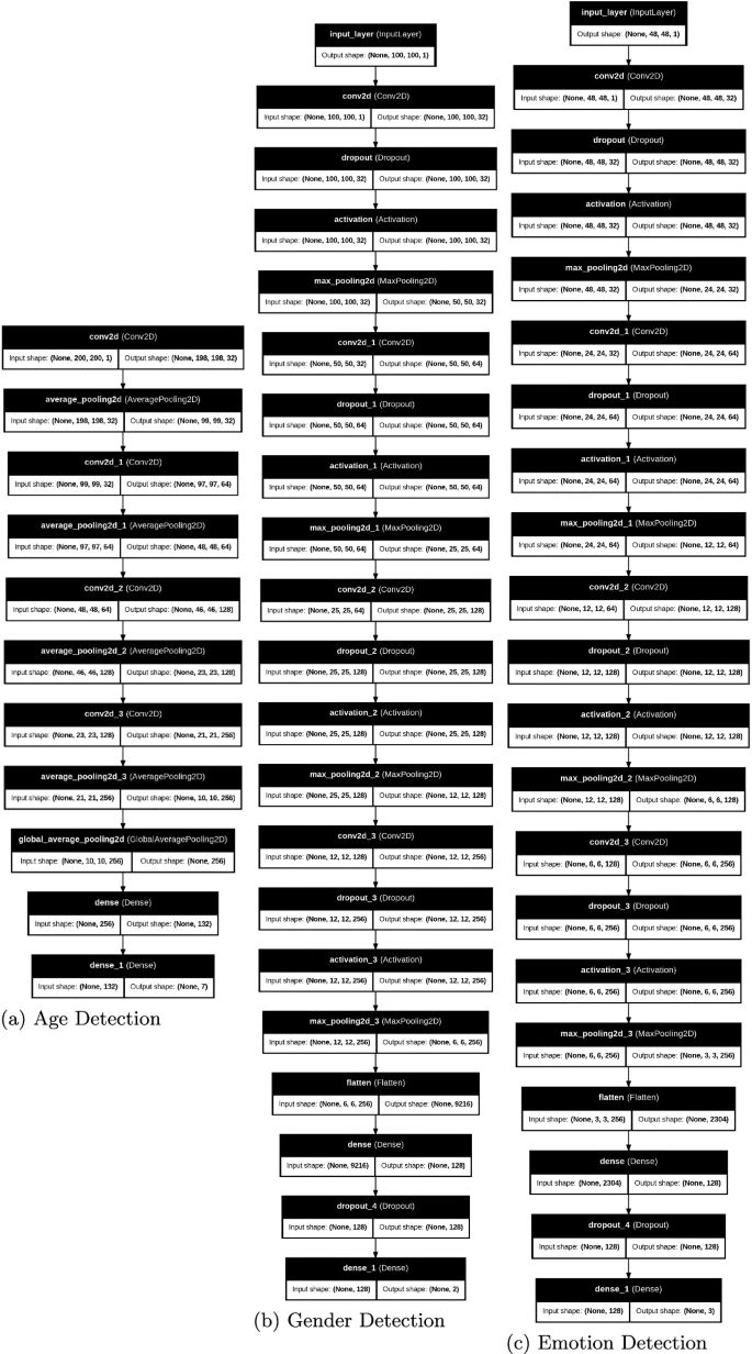 Real-Time Gender, Age, and Emotion Detection Using CNN | Springer ...